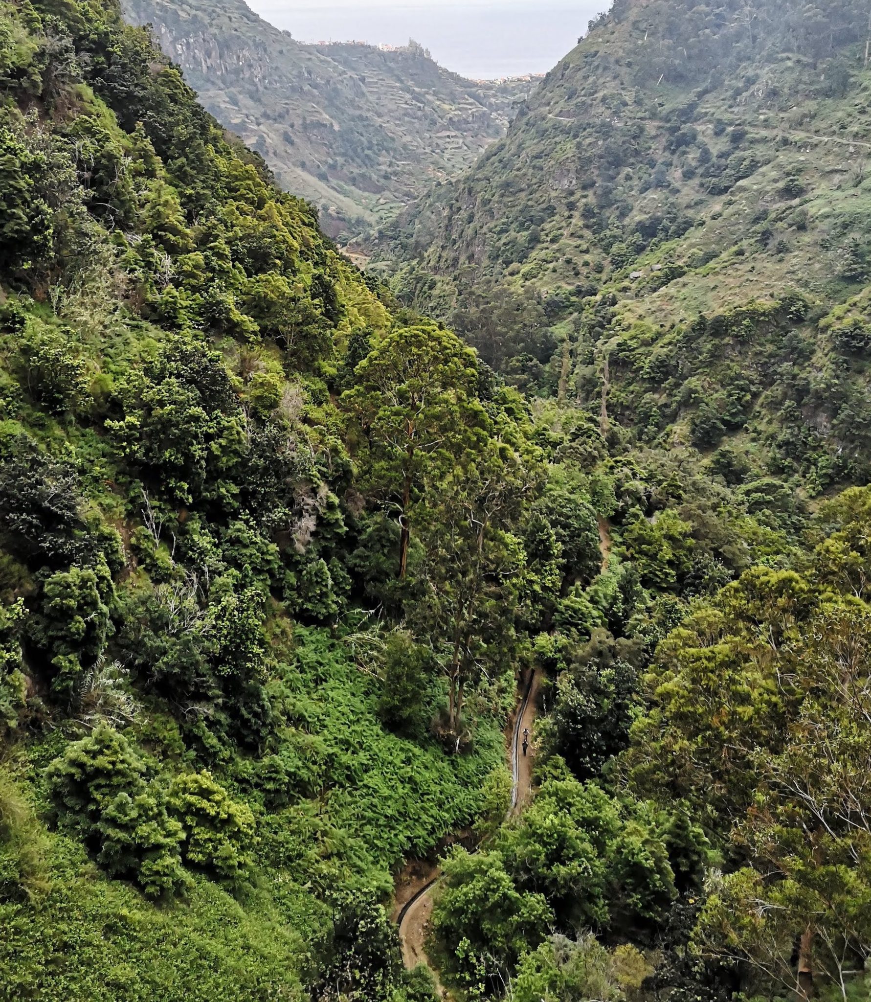 Madeira Island Route - Caminhadas/ Levadas Madeira